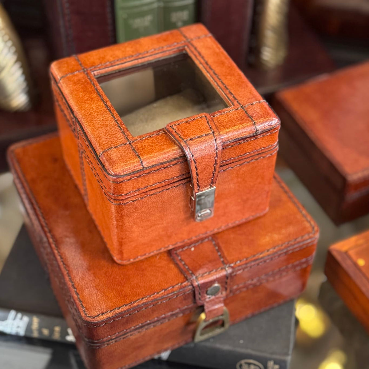 Leather Single Watch holder – Magpie Style