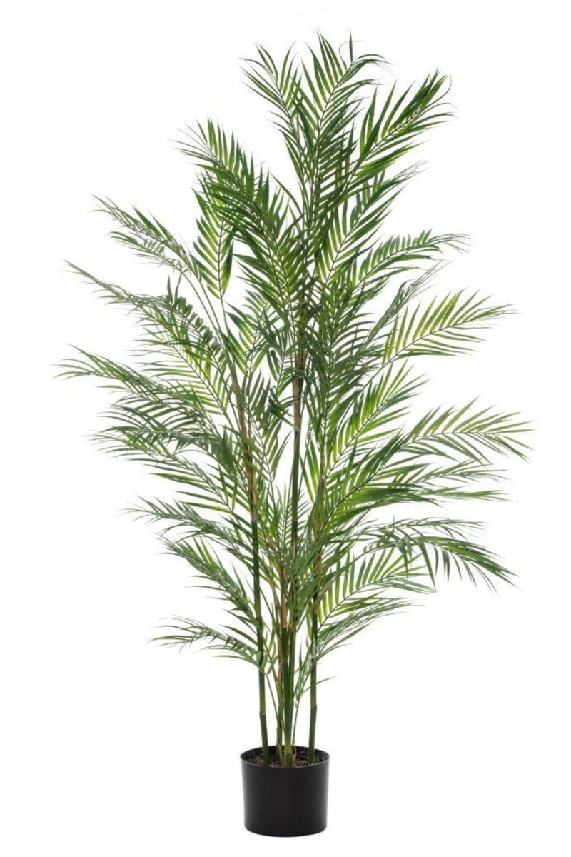Phoenix Palm Large – Magpie Style