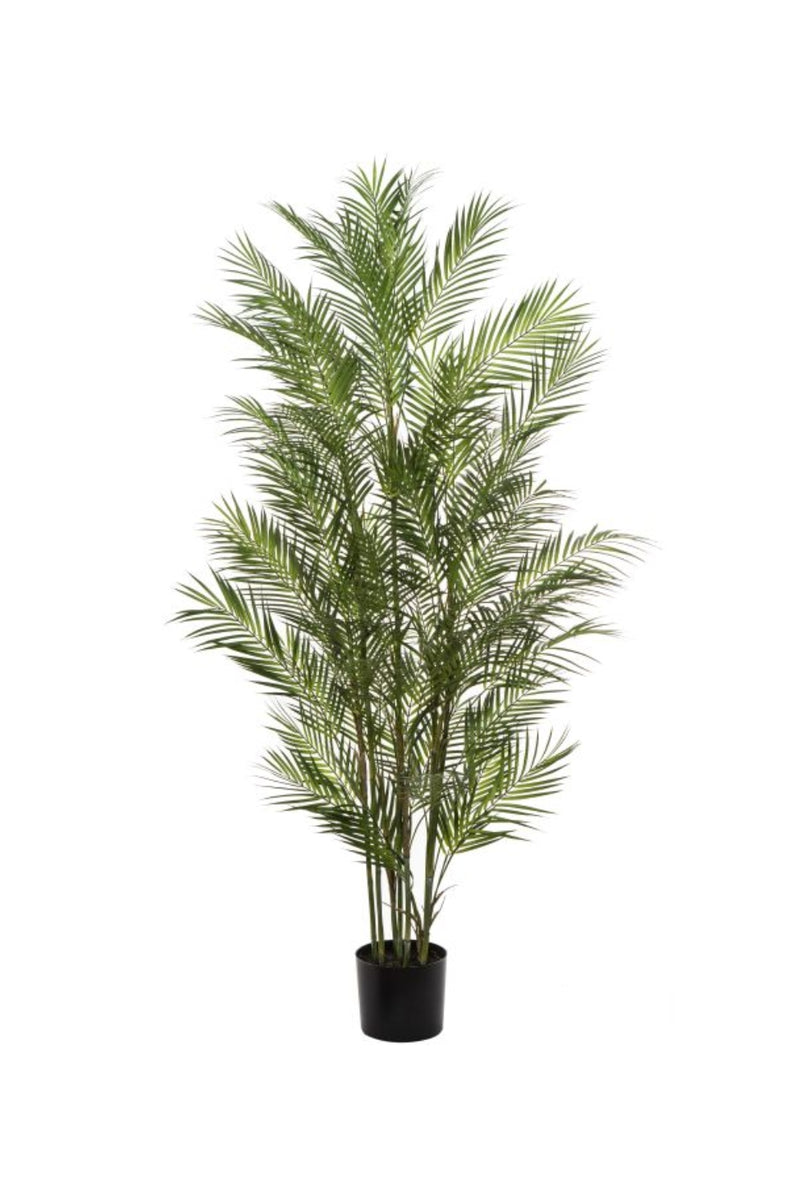 Faux Phoenix Palm in Pot – Magpie Style
