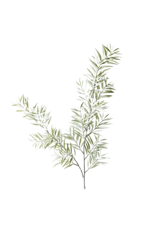 Acacia Leaf Spray – Magpie Style