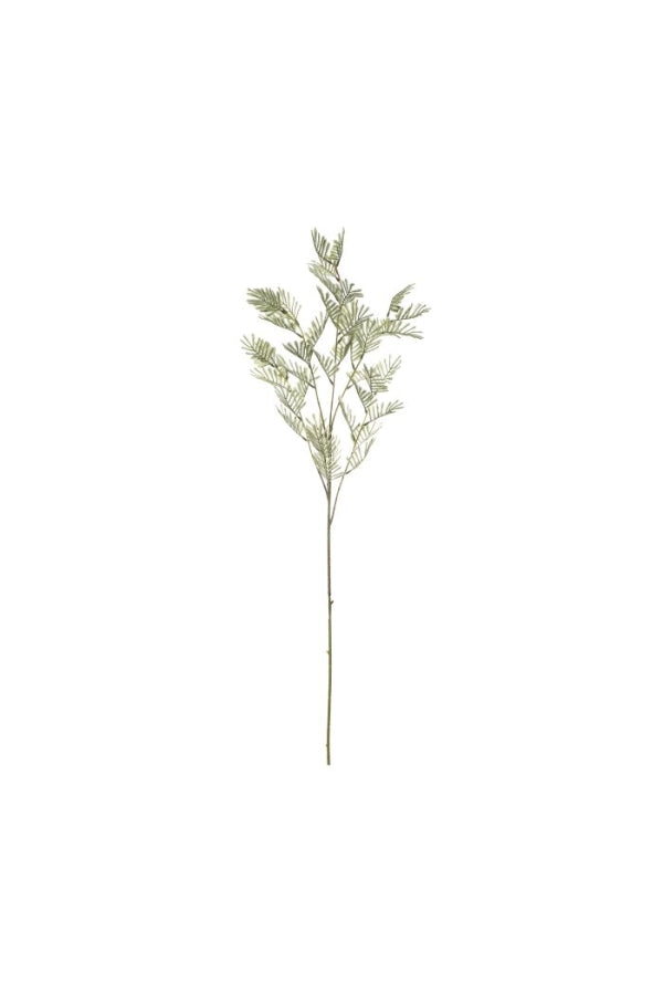 Wattle Leaf Spray – Magpie Style